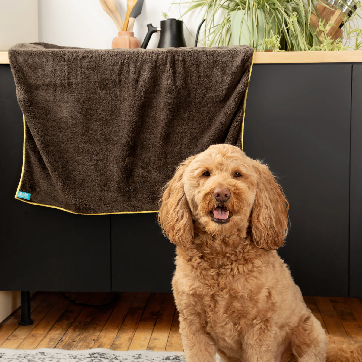 E-Cloth Medium Pet Towel-70603DO – Acevacuums